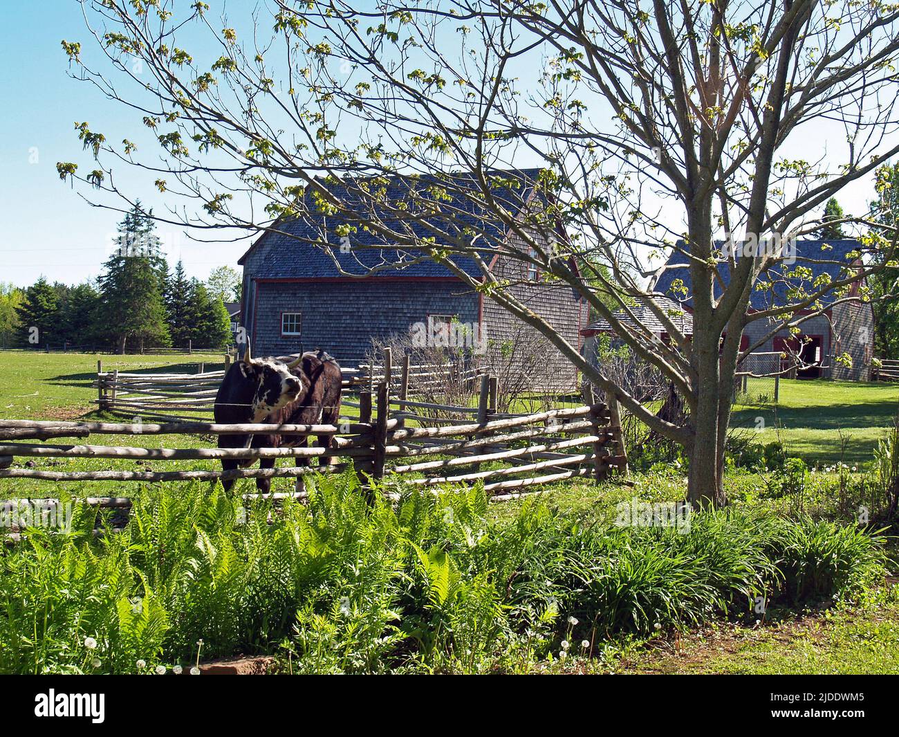 Orwell Corner Historic Village, barn, PEI Stock Photo - Alamy