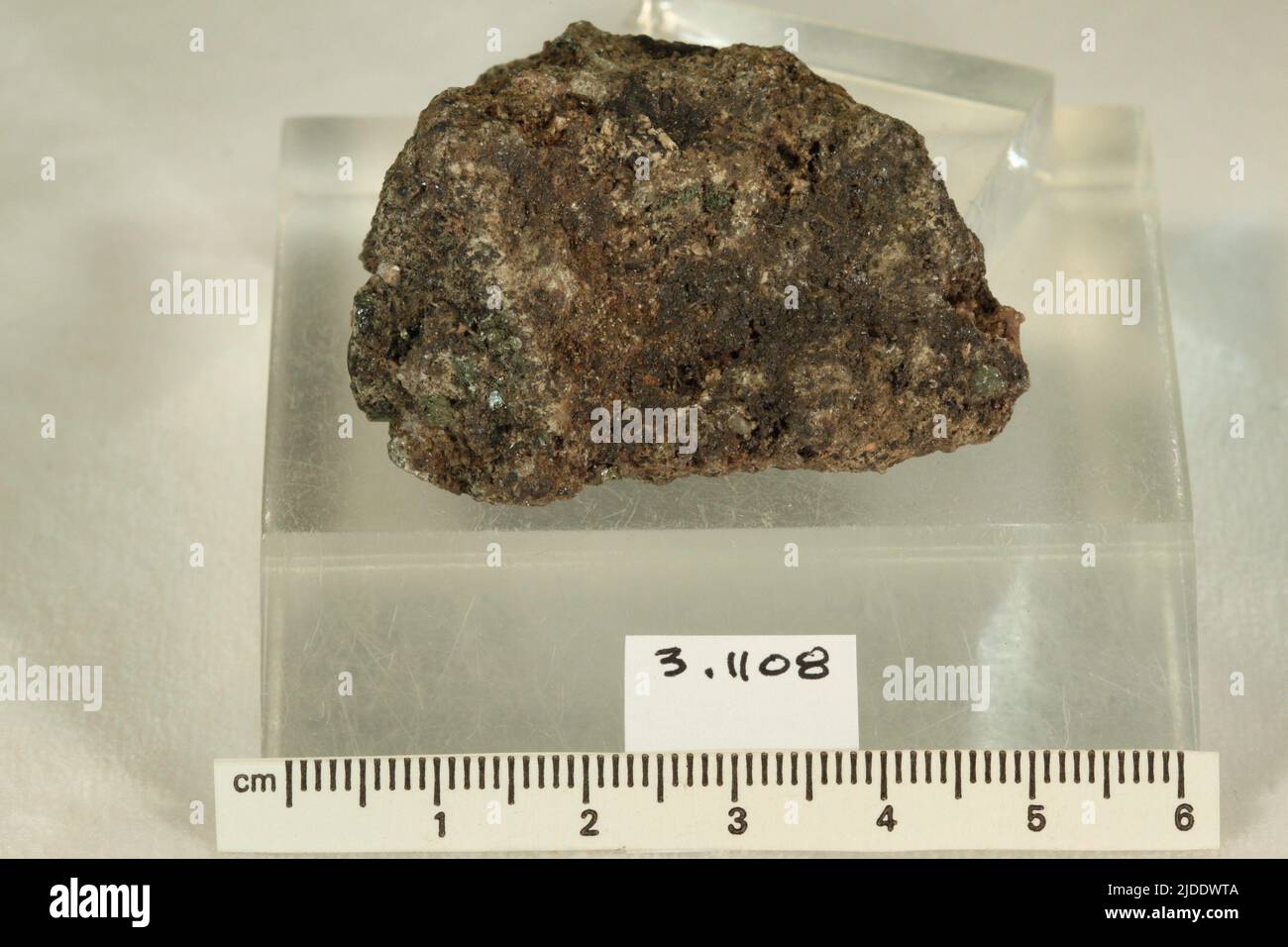 Parisite hi-res stock photography and images - Alamy