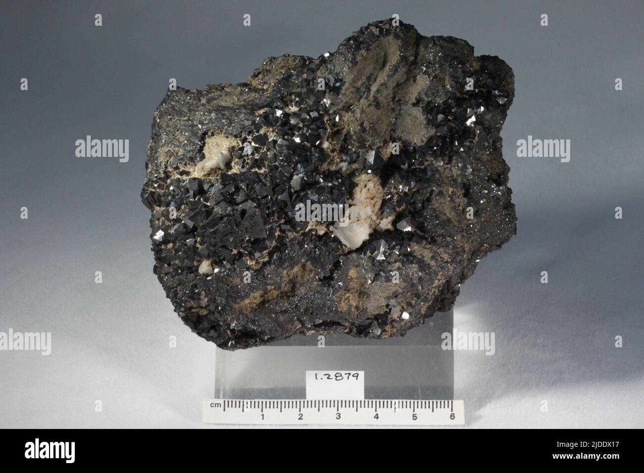 Magnetite. minerals. North America; USA; Pennsylvania; Chester County ...