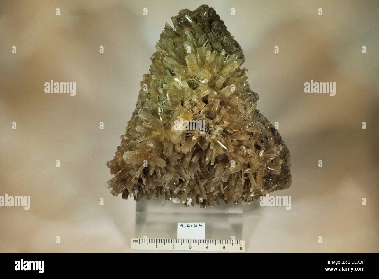 Gypsum. minerals. Europe; Austria; Styria; Liezen; Altaussee; Salt mine ...