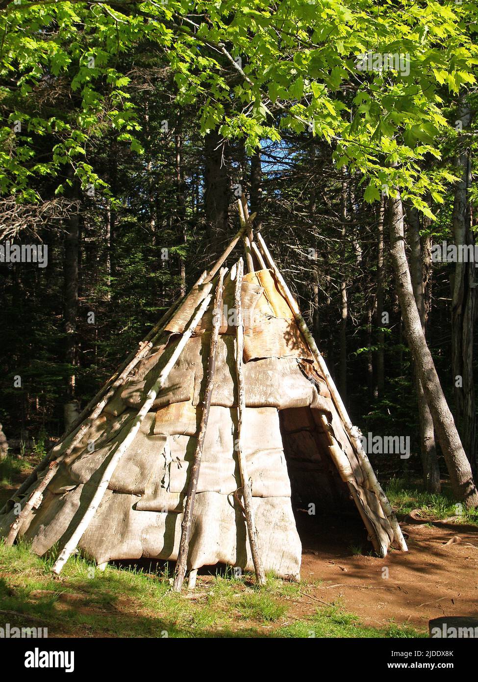 Mi'kmaq birch bark teepee, PEI Stock Photo - Alamy