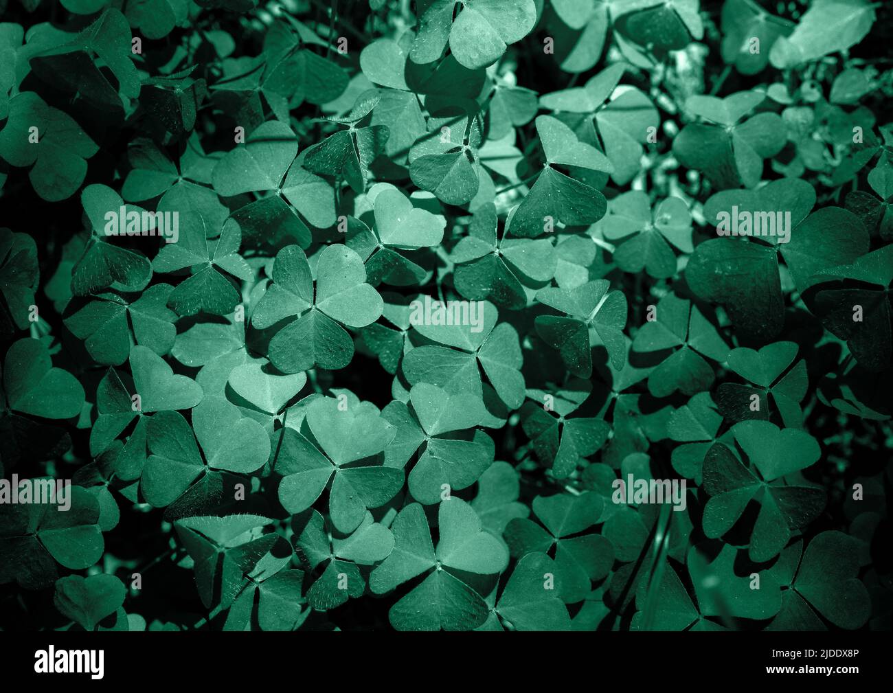 Gree texture hi-res stock photography and images - Alamy