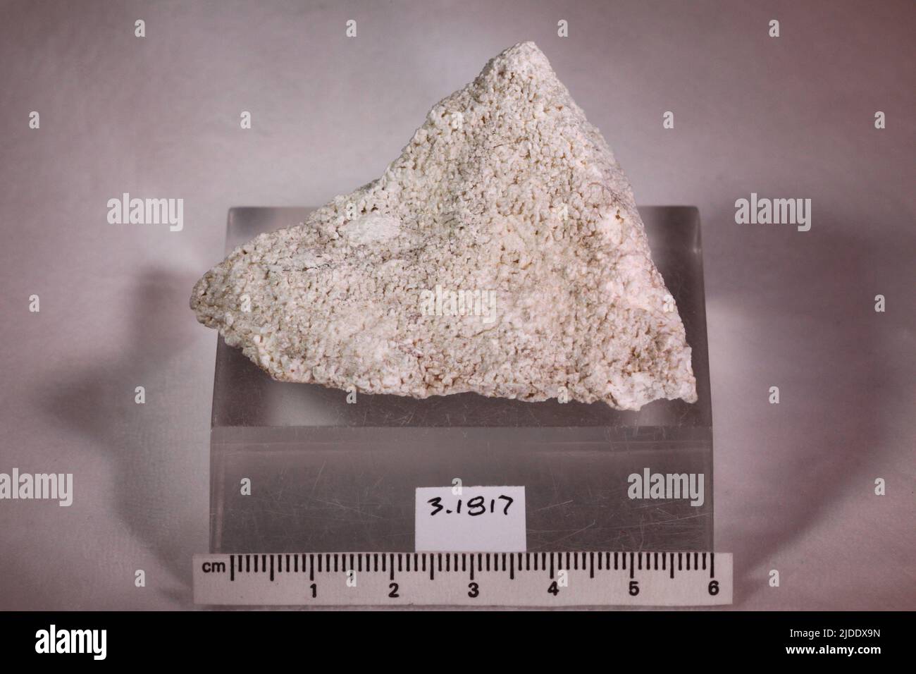 Picromerite. minerals. Europe; Germany; Stassfurt Stock Photo - Alamy