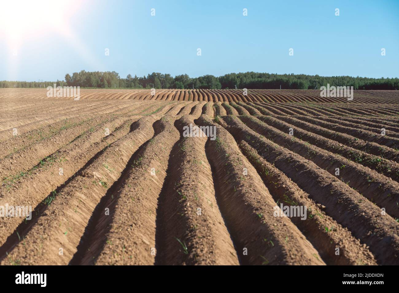 Arable land ploughed field. Cultivated land and soil tillage ...