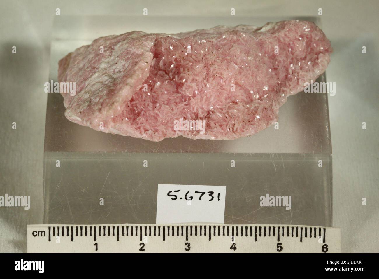 Rhodochrosite. minerals. Europe; Romania; Maramure?; Maramure?; Cavnic ...