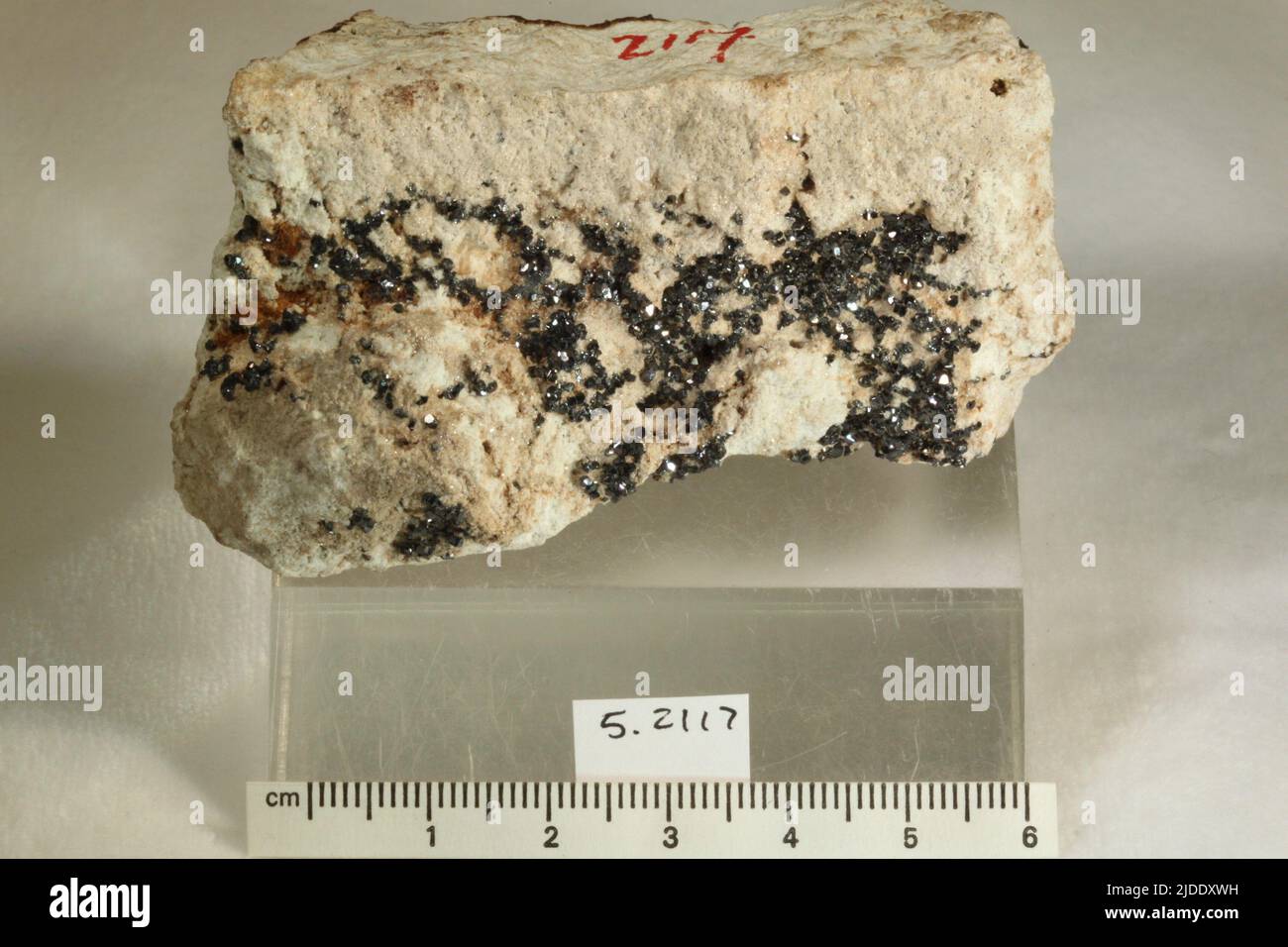 Brookite. minerals. North America; USA; Arkansas; Garland County ...