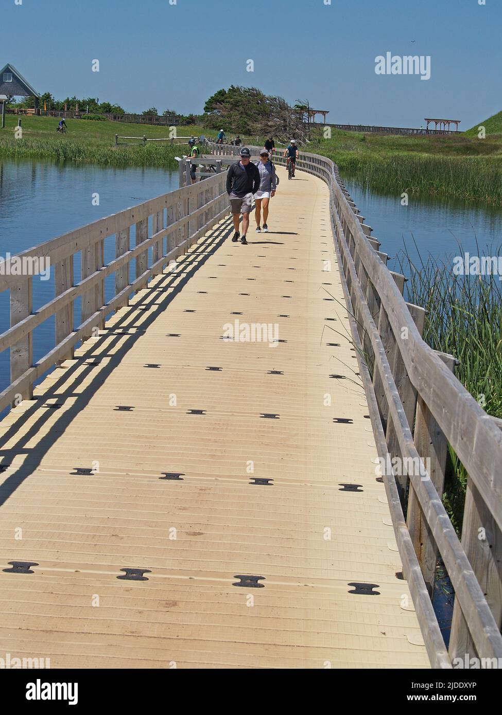Boardwalk, Prince Edward Island National Park Stock Photo - Alamy