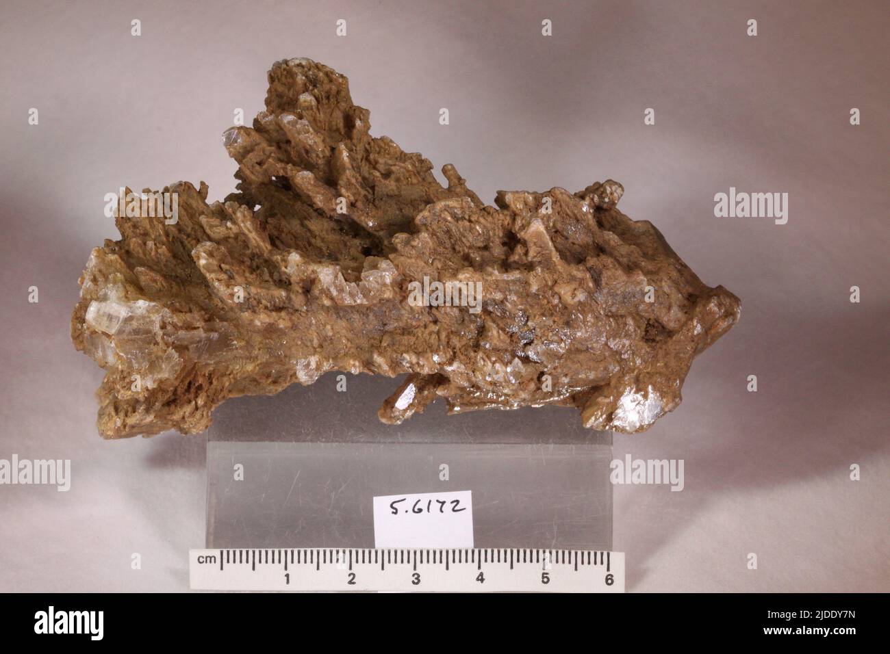 Gypsum cave kentucky hi-res stock photography and images - Alamy