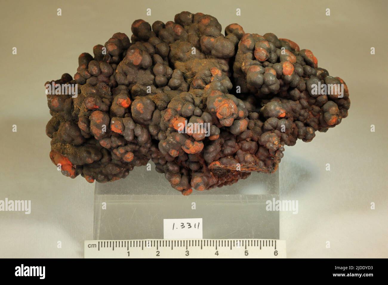 Limonite. minerals. North America; USA; Virginia; Cranberry Plains ...