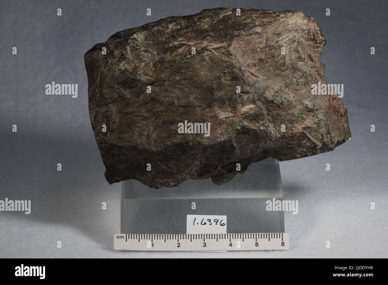 Cubanite. minerals. Cuba; Barrio de Cabezas, Mina Celia Grigoria Stock ...