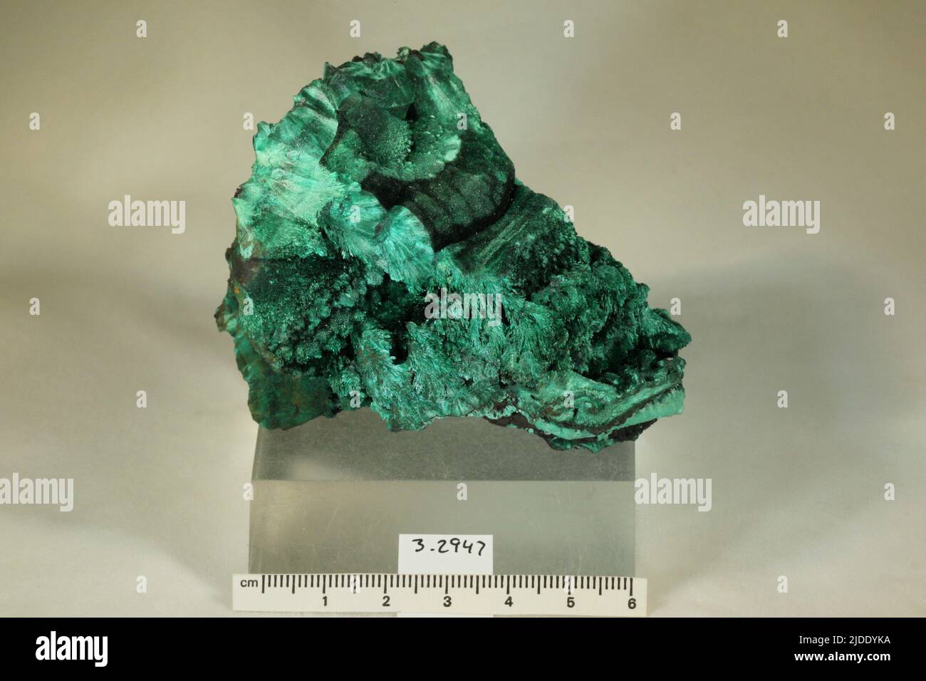 Malachite. minerals. North America; USA; Arizona; Cochise County ...