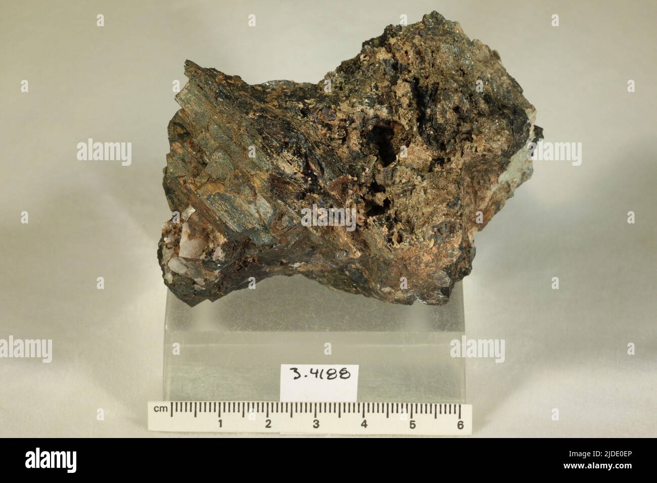 Parisite hi-res stock photography and images - Alamy