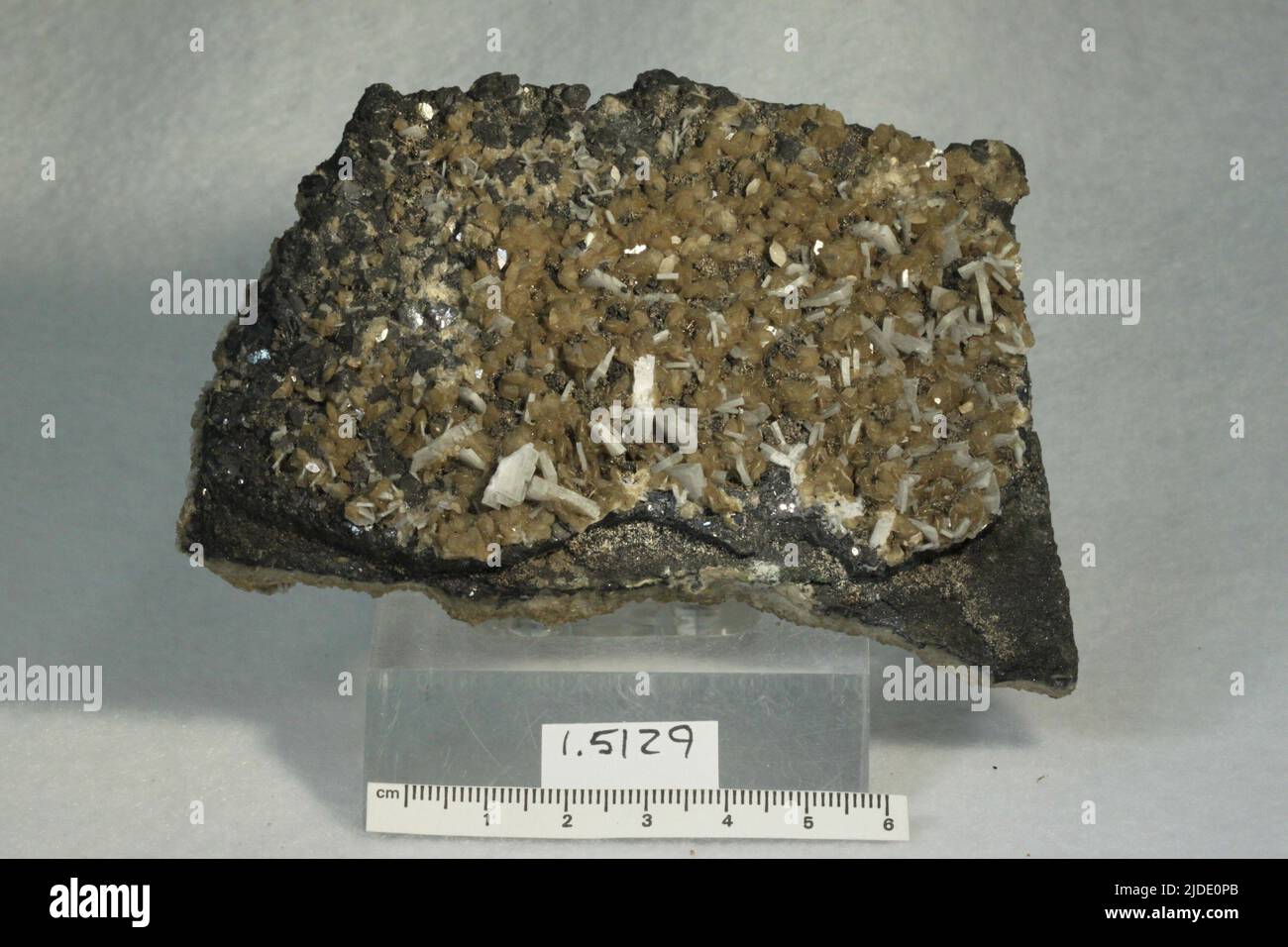 Silver. minerals. North America; USA; Colorado; White Raven Mine Stock ...