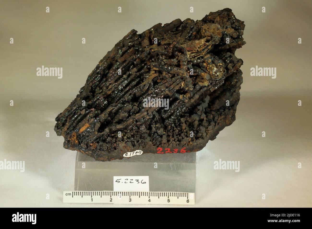 Limonite. minerals. North America; USA; Connecticut; Litchfield County ...