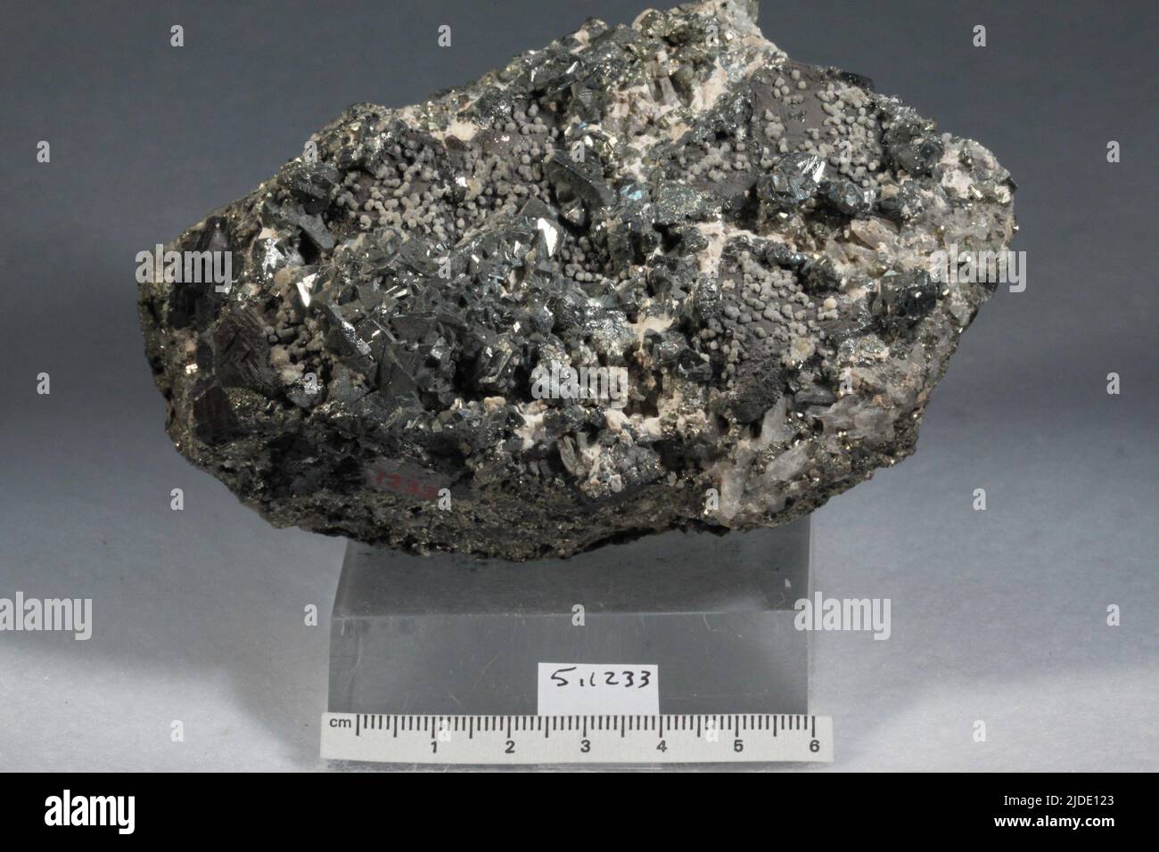 Tetrahedrite. minerals. Europe; Romania; Maramure?; Maramure?; Cavnic ...