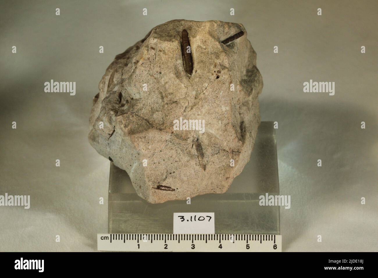 Parisite. minerals. North America; USA; Montana; Ravalli County Stock ...
