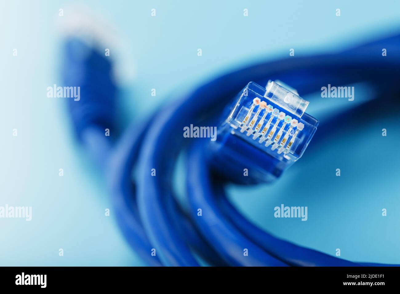 Blue Ethernet Cable Connectors Patch cord cord close-up isolated on a blue background with free ...