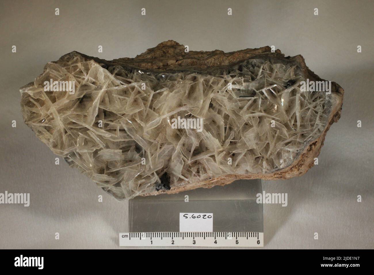 Barite. minerals. Europe; Romania; Maramure?; Maramure?; Baia Sprie ...
