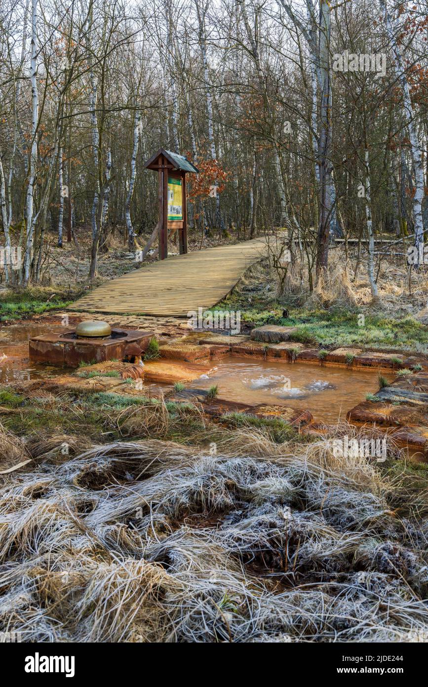 Nature reserve Soos, Western Bohemia, Czech Republic Stock Photo - Alamy