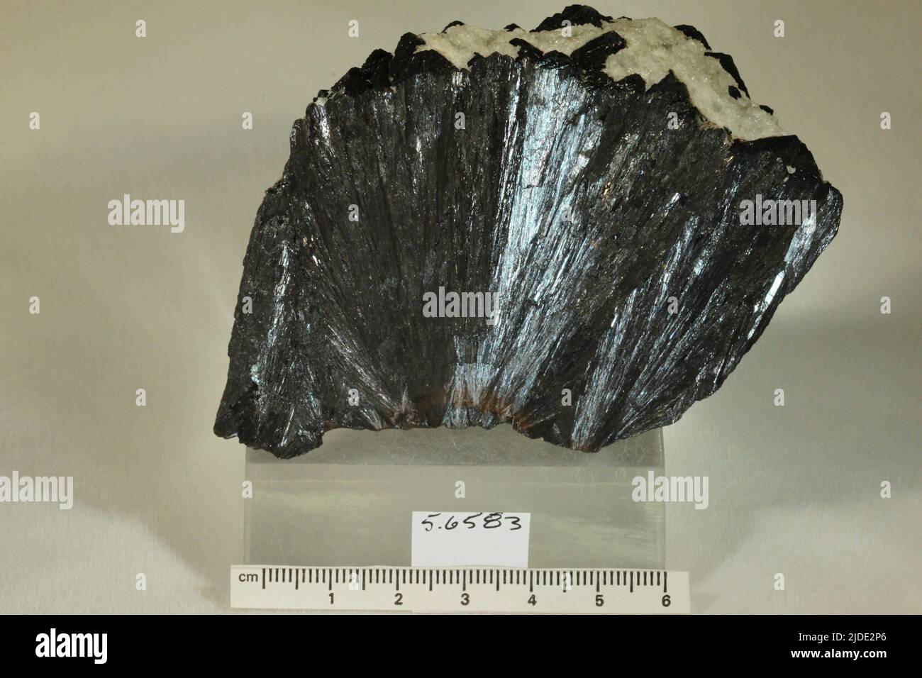 Goethite. minerals. North America; USA; Colorado; El Paso County; Pikes ...