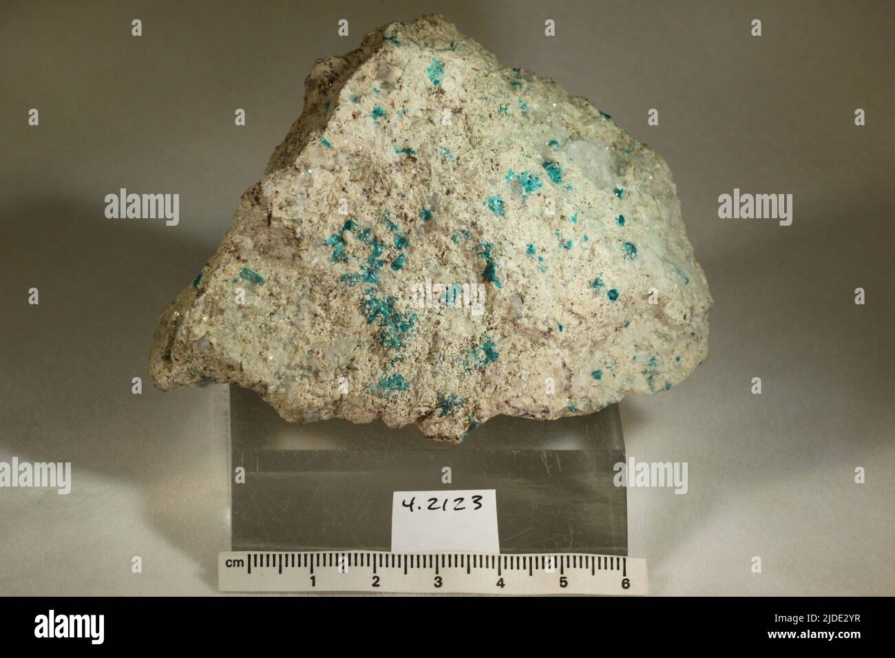 Salesite. minerals. South America; Chile; Antofagasta Province ...