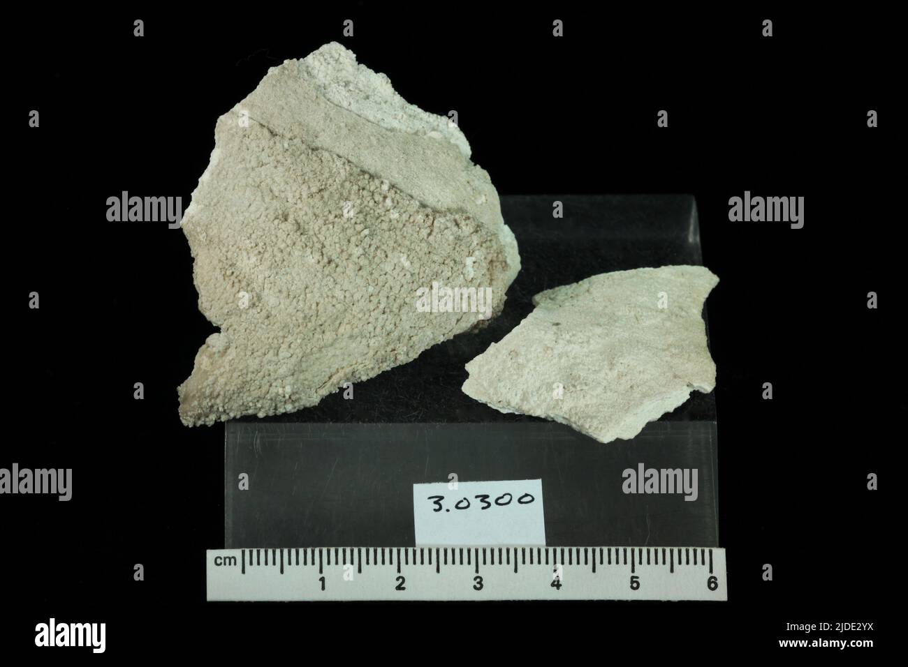 Guano bat hi-res stock photography and images - Alamy