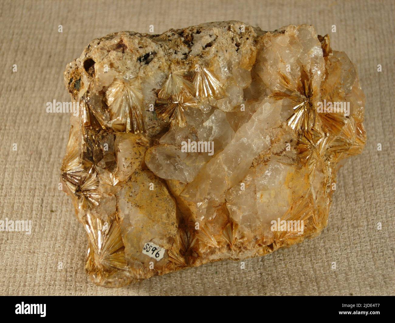 Pyrophyllite north carolina hi-res stock photography and images - Alamy