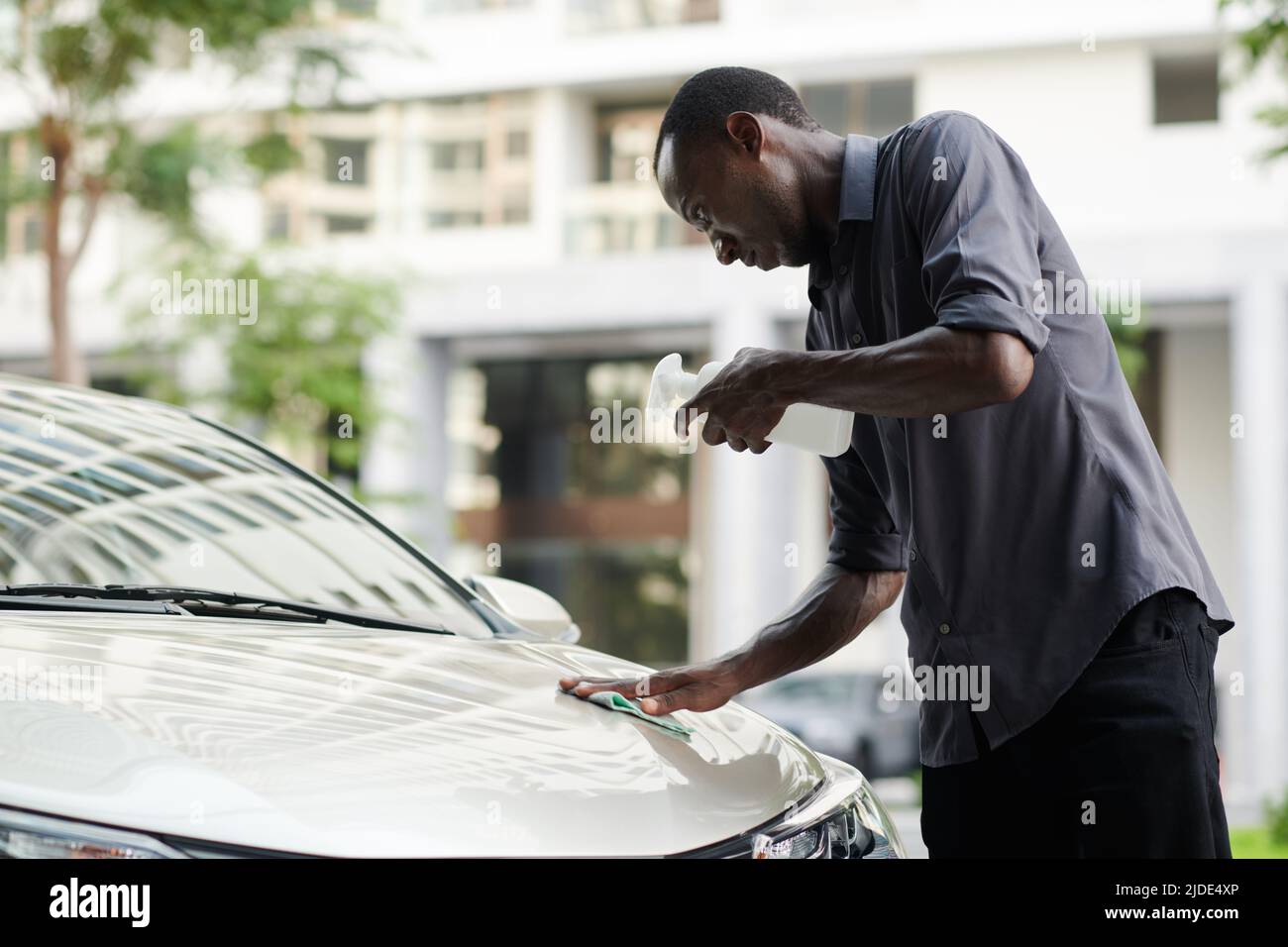Car owner wiping hood with detergent to remove bug stains off hood ...