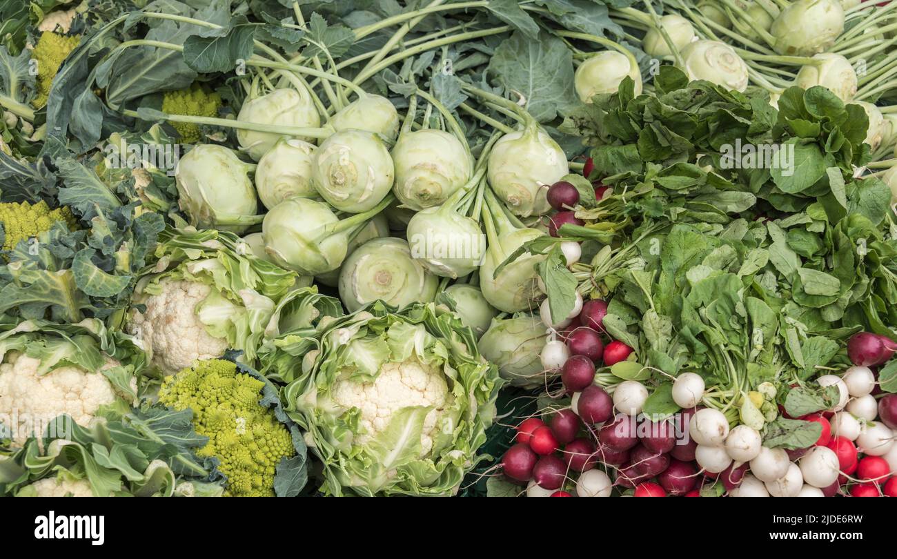 Market stall different vegetables hi-res stock photography and images ...