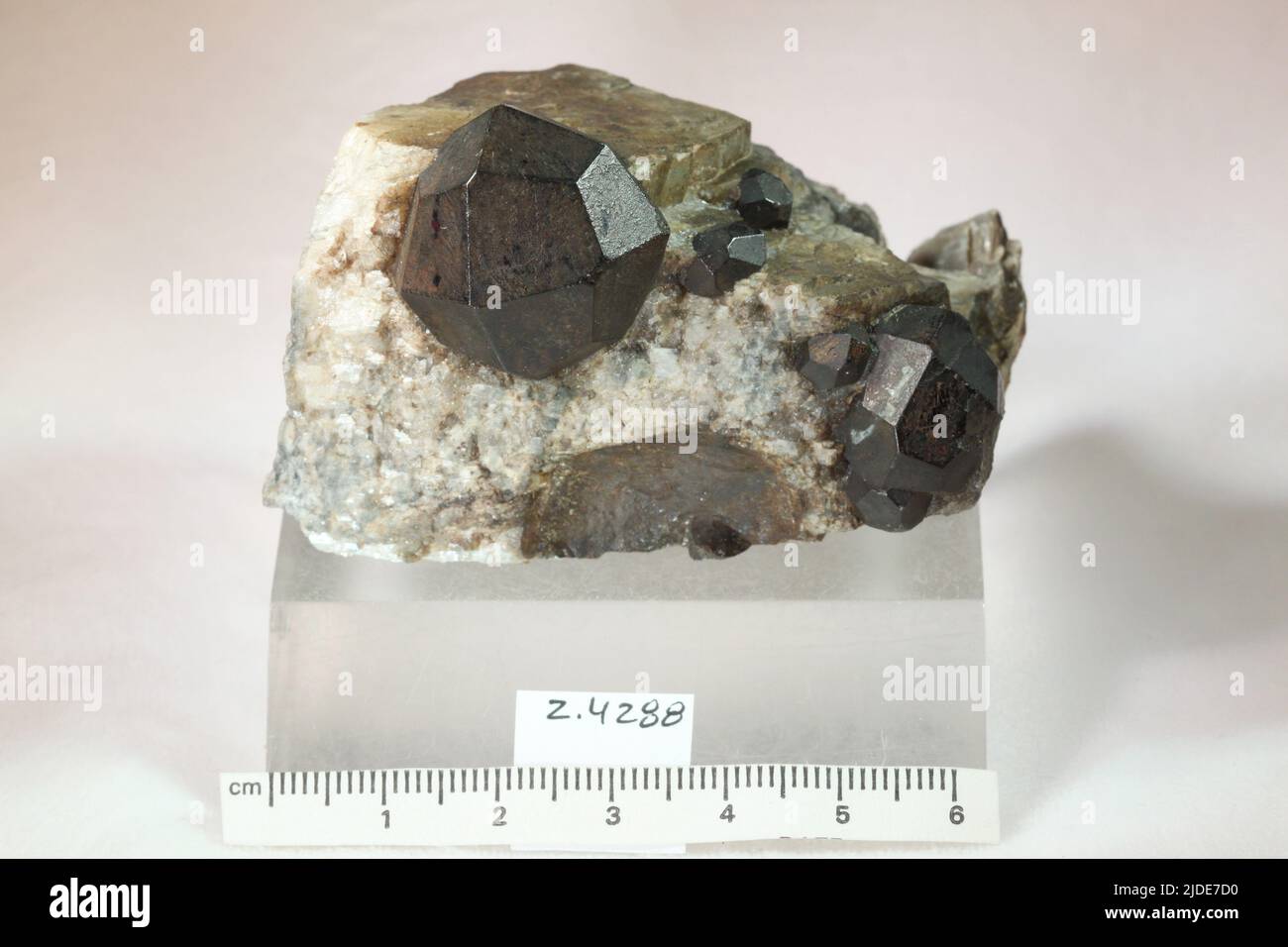 Garnet. minerals. North America; USA; Massachusetts; Hampden County ...