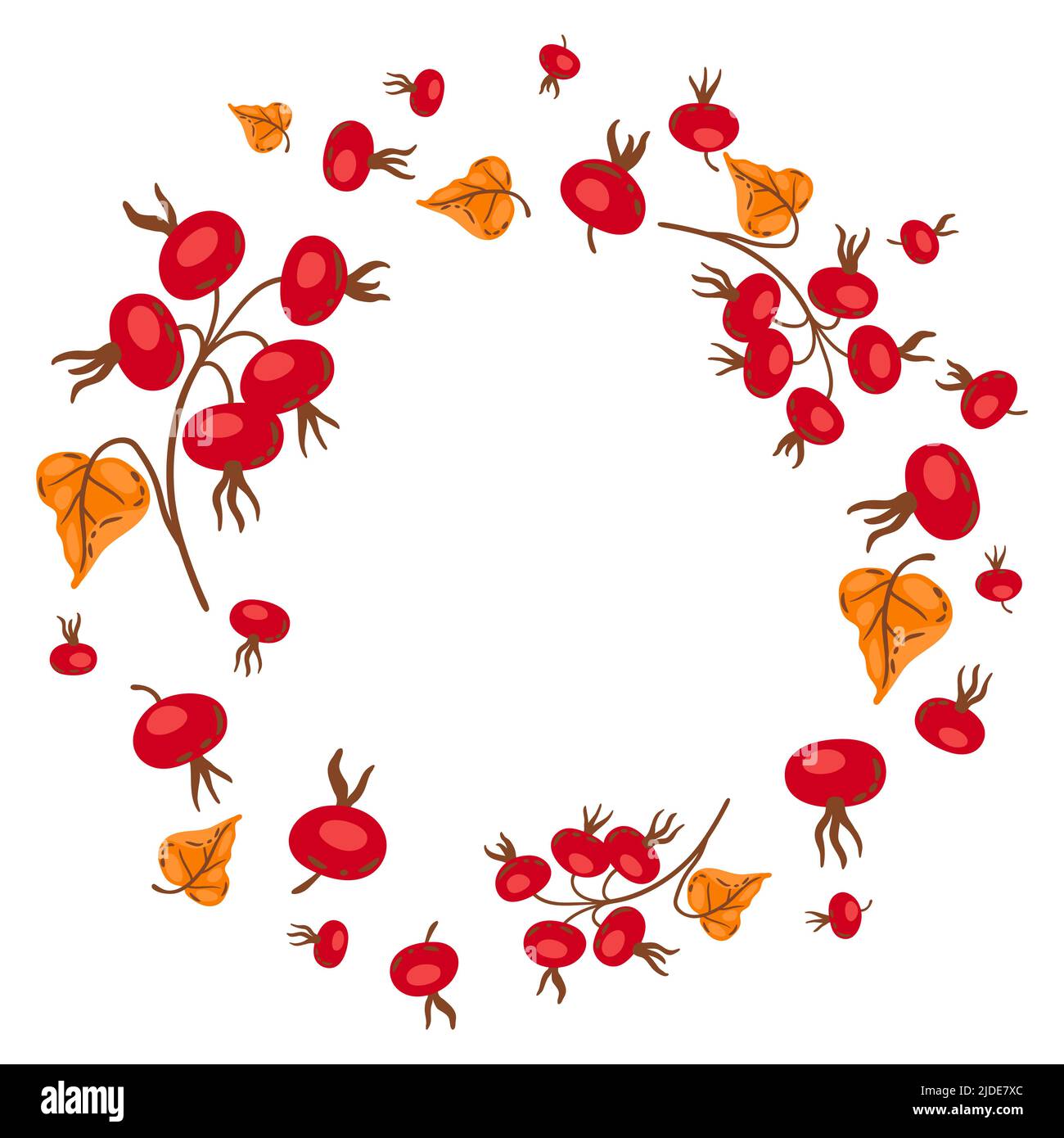 Rose hips vector vectors hi-res stock photography and images - Alamy