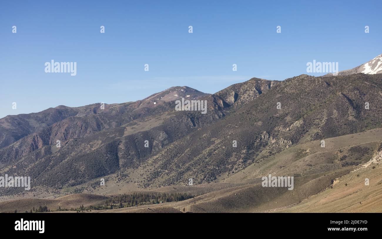 Dry rocky desert mountain landscape with trees Stock Photo - Alamy