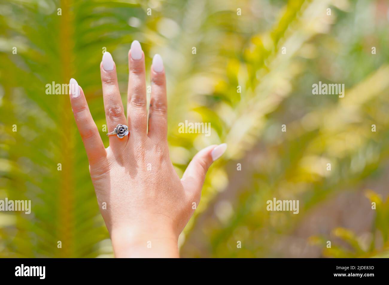 Silver tone hi-res stock photography and images - Alamy