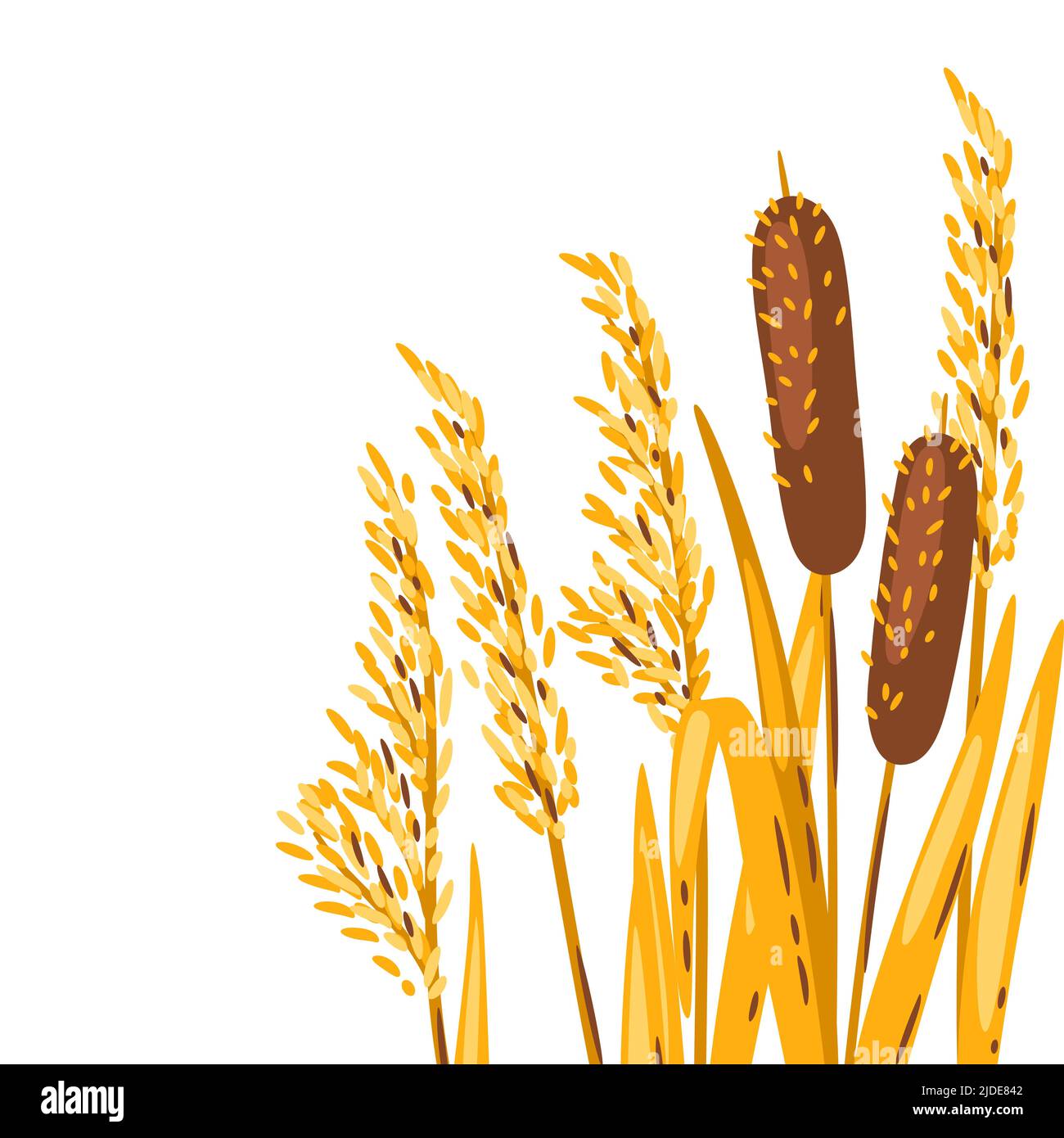Reed bunch Stock Vector Images - Alamy