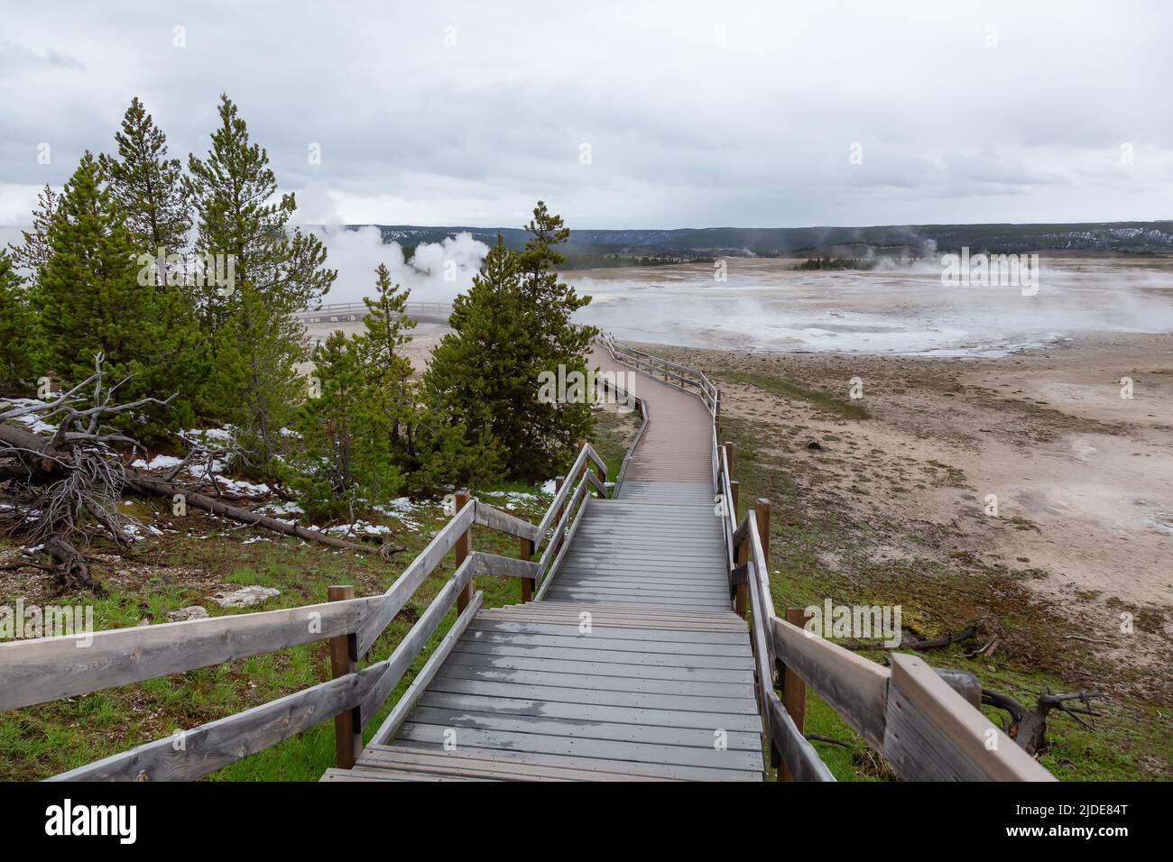 Nature around boardwalk hi-res stock photography and images - Alamy