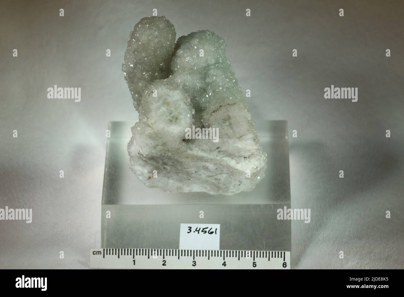 Francolite hi-res stock photography and images - Alamy