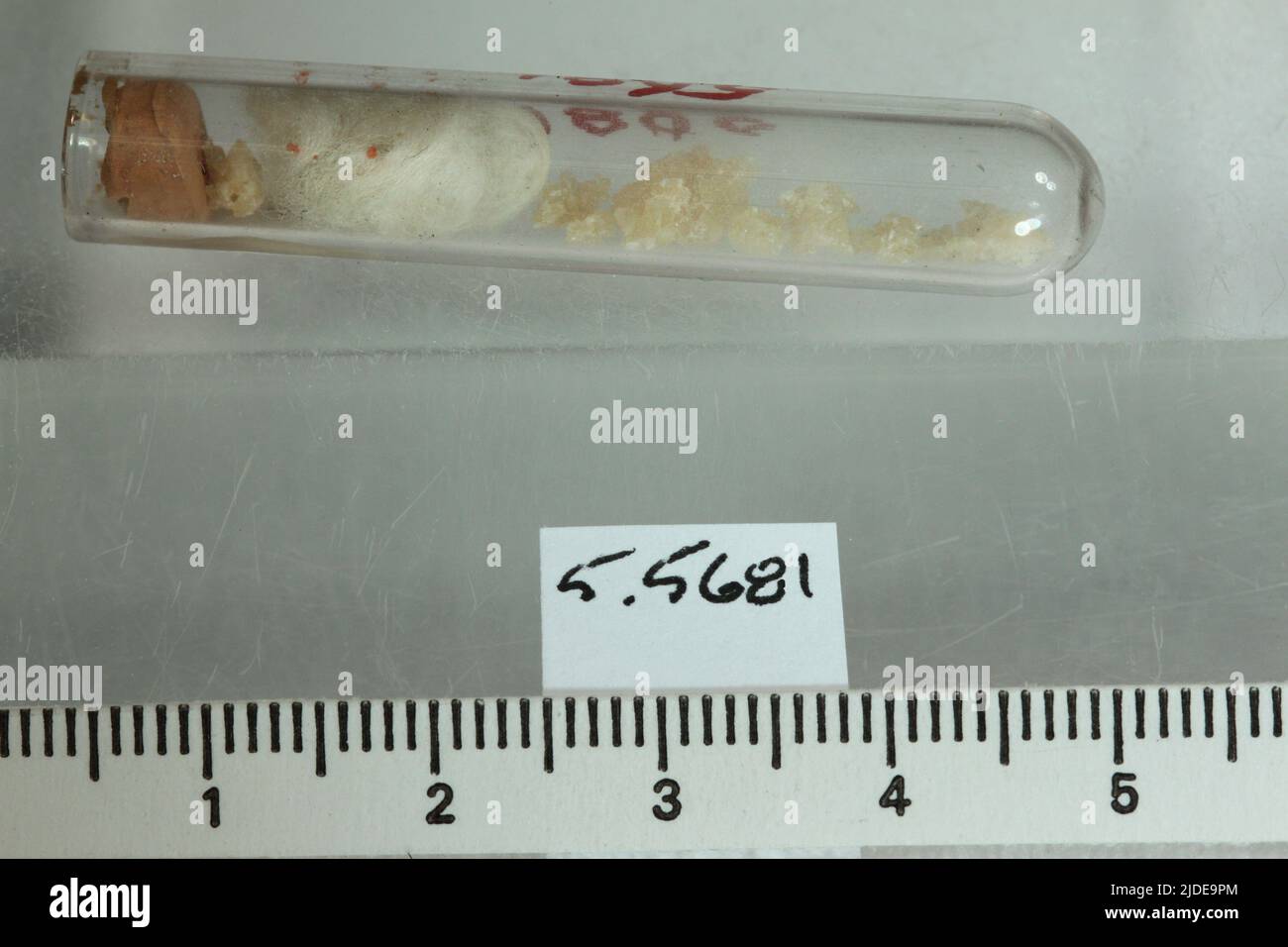 Monetite. minerals. North America; USA; Puerto Rico; Mona Island Stock ...