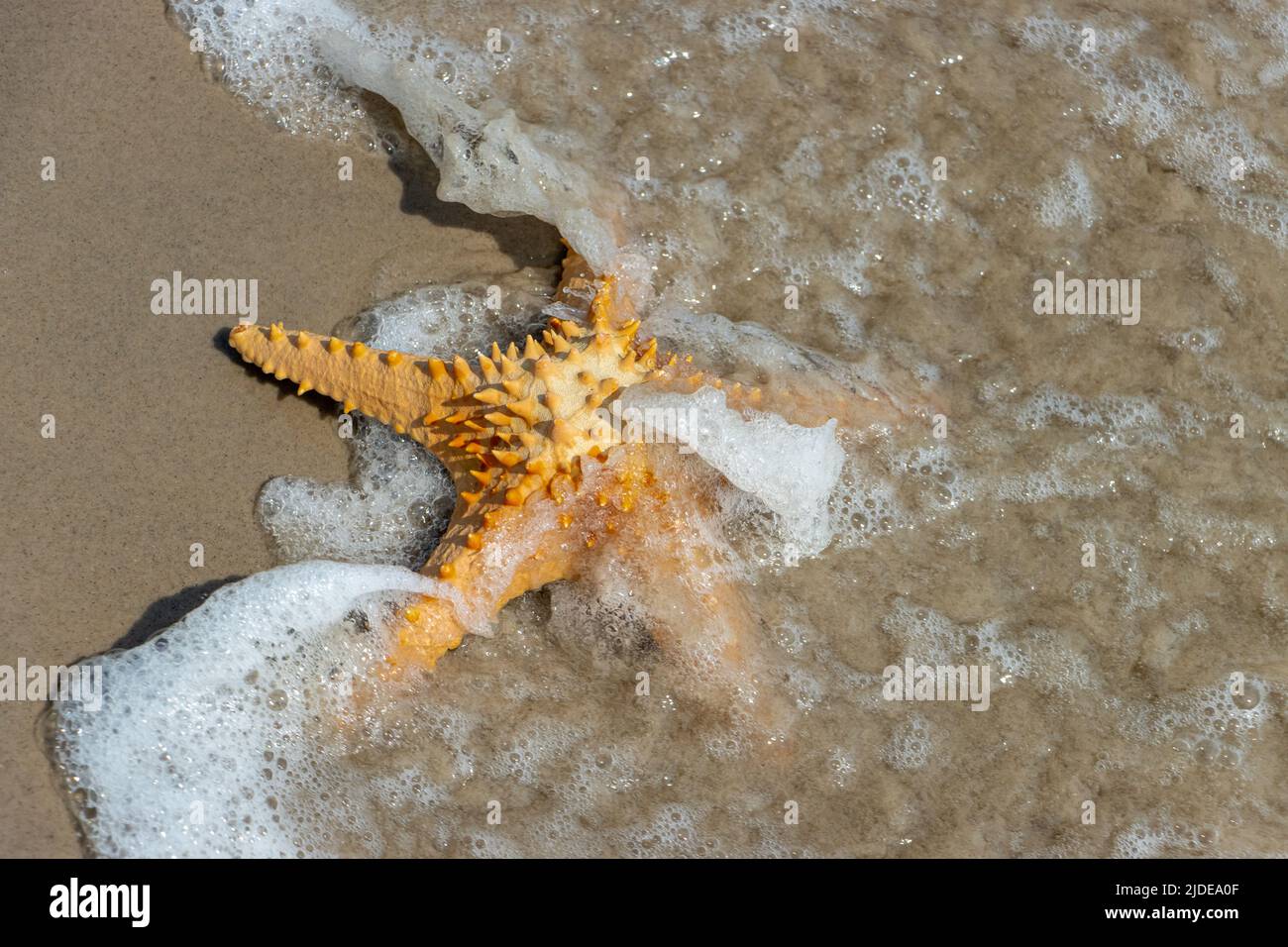 Lying on beach aerial hi-res stock photography and images - Alamy