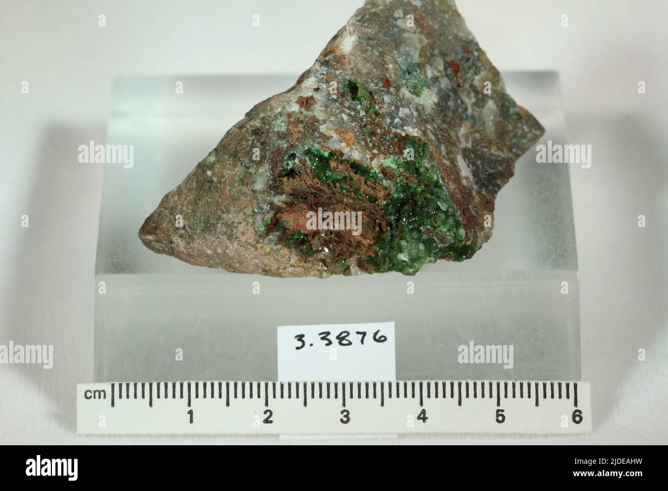 Austinite. minerals. Africa; Namibia; Otavi; Guchab Stock Photo - Alamy