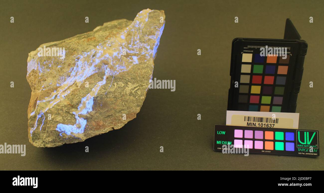 Scheelite. minerals. North America; USA; California; San Bernardino ...