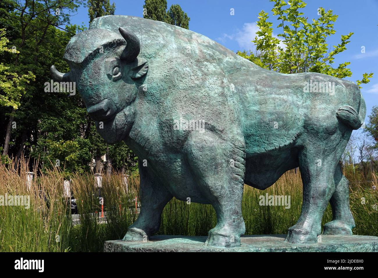 Buffalo zoo animals hi-res stock photography and images - Alamy