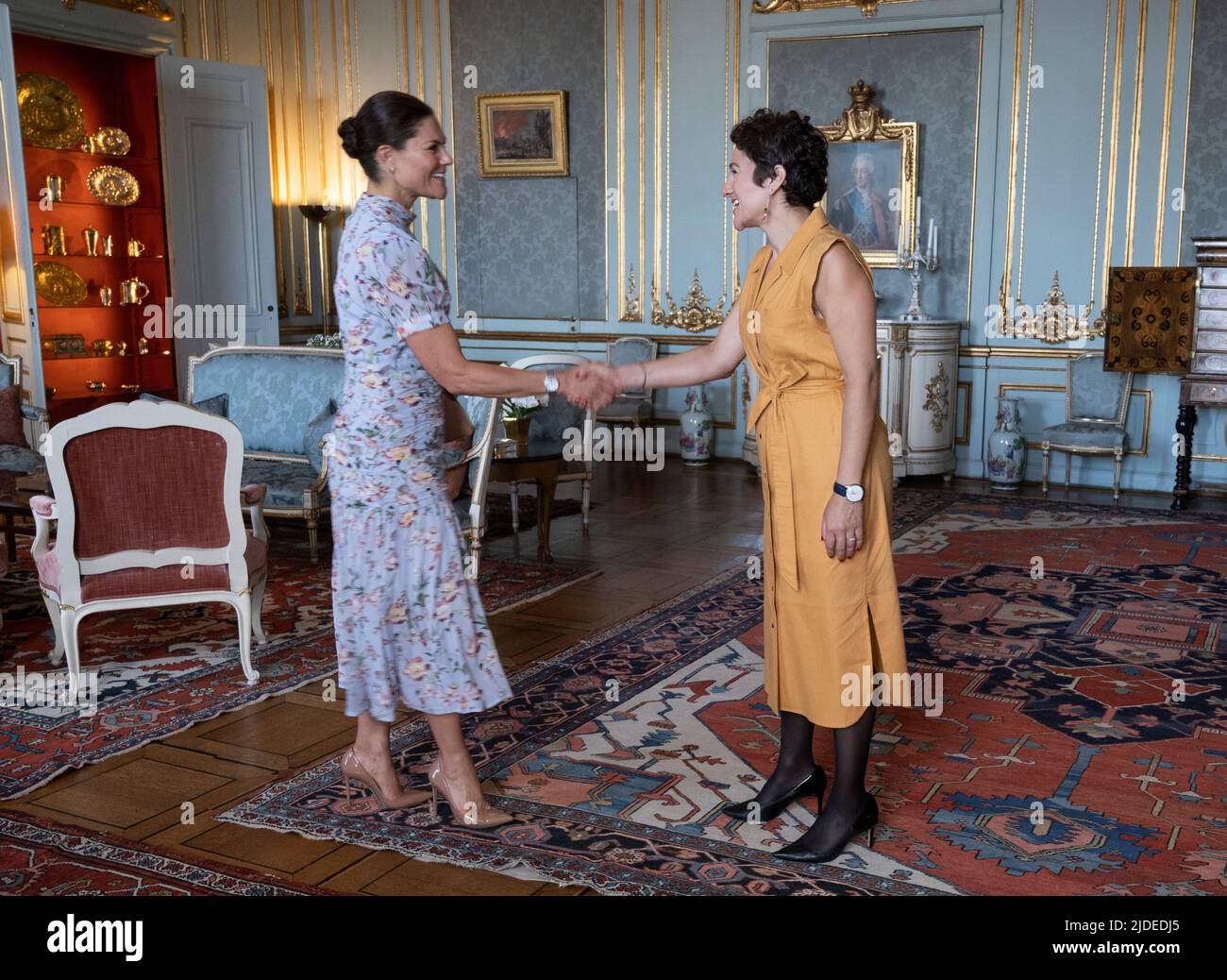 STOCKHOLM 20220620 Crown Princess Victoria meets with American-Swedish ...