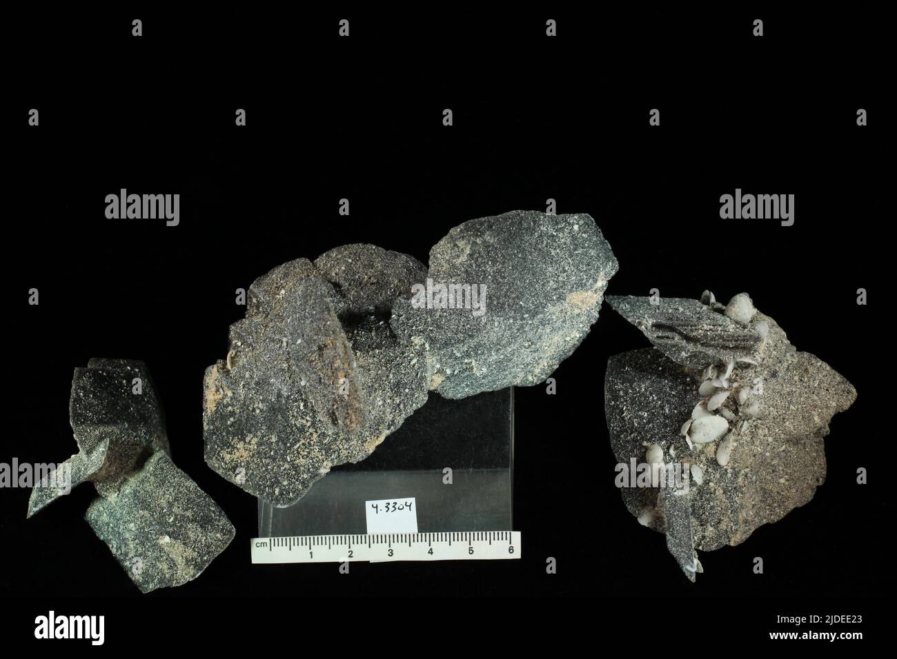 Embayment hi-res stock photography and images - Alamy