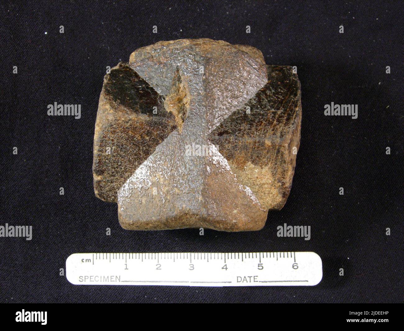 Staurolite rock hi-res stock photography and images - Alamy