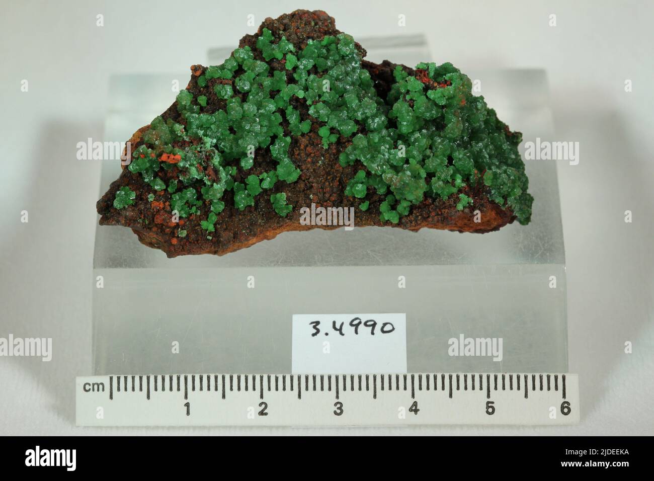 Austinite. minerals. North America; Mexico; Durango; Mapimi; Mina ...