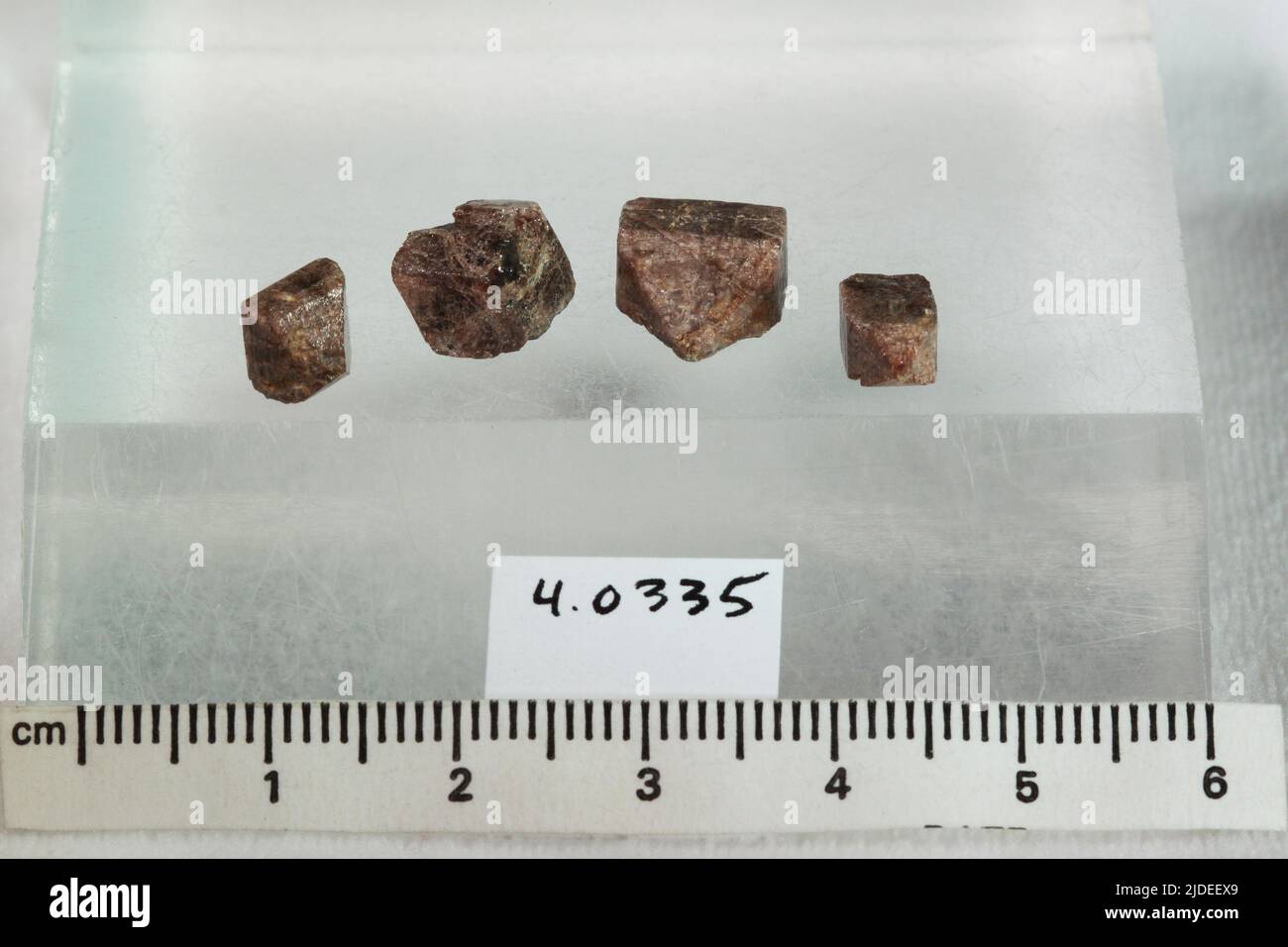 Radiometric dating fossil hi-res stock photography and images - Alamy