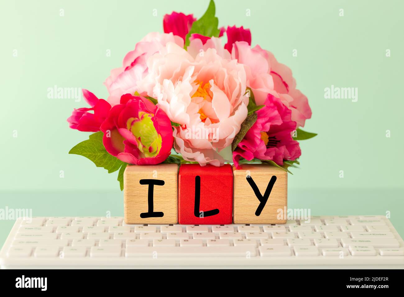 Ily icon hi-res stock photography and images - Alamy