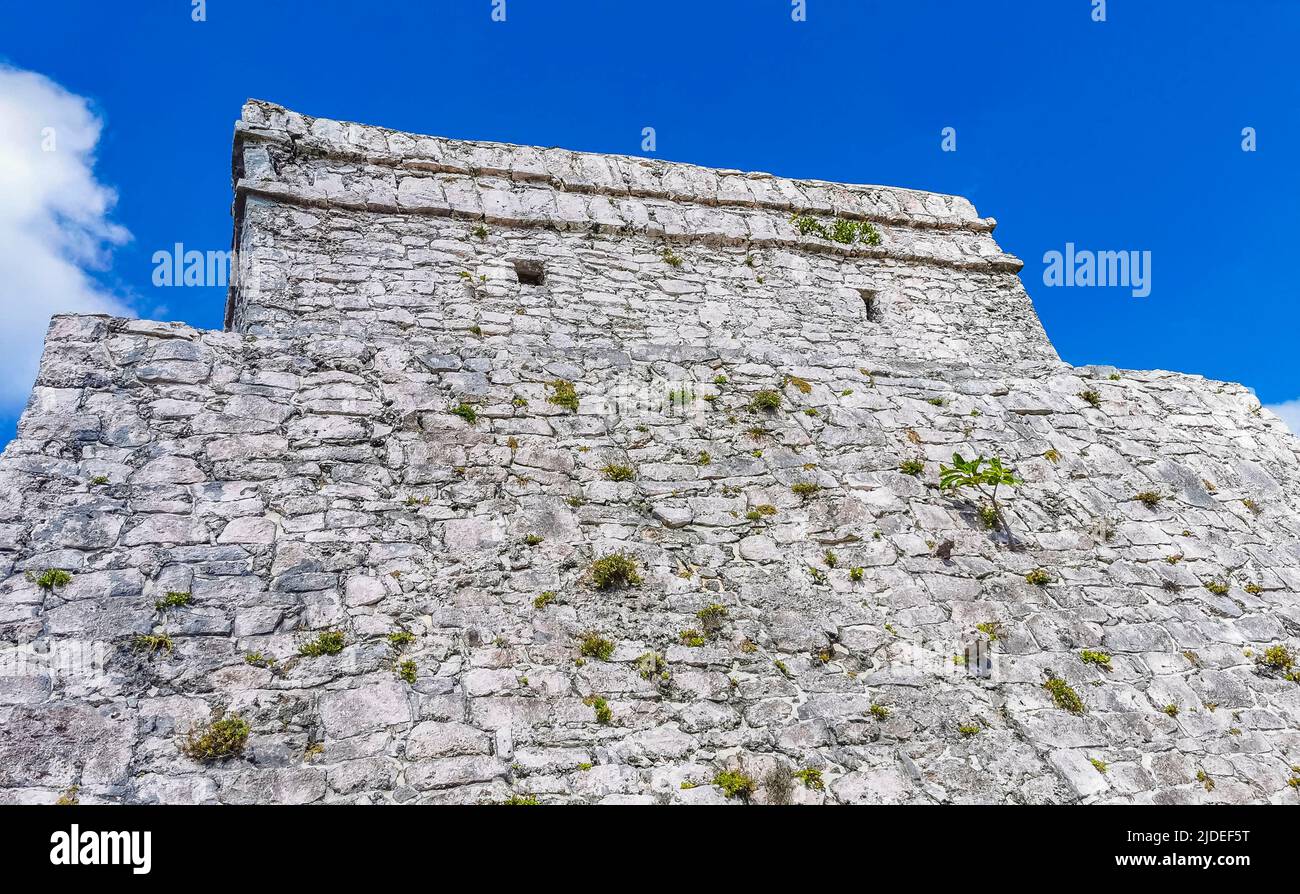 Ancient Tulum ruins Mayan site with temple ruins pyramids and artifacts ...
