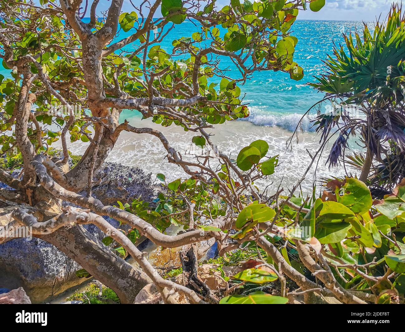 Ancient Tulum ruins Mayan site with temple ruins pyramids and artifacts ...