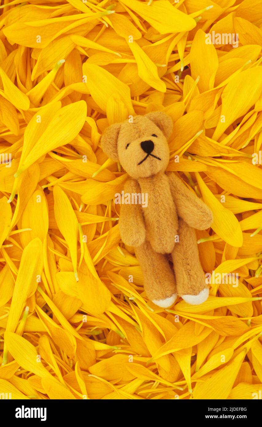 Beige teddy bear with contented face lying in bed of yellow ...